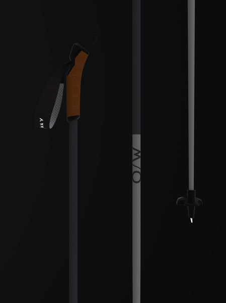 Fischer Diamond ALC Nordic Poles – Fischer | Ascent Outdoors